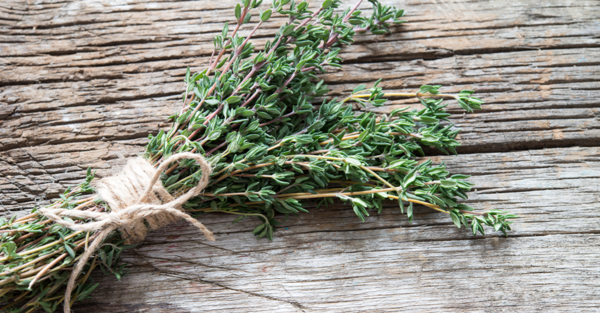It's About Thyme! 5 Powerful Benefits of this Super Herb ...