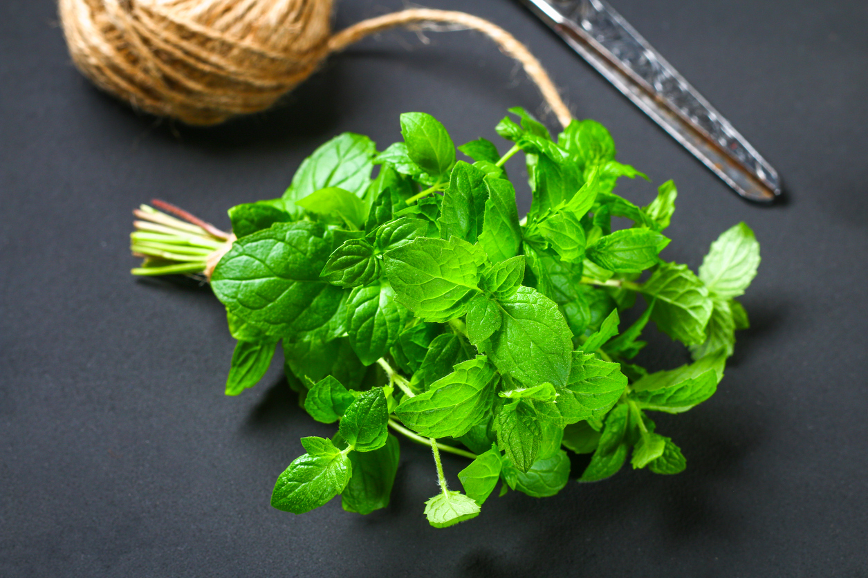 The Amazing Benefits of Mint - thenutritionwatchdog.com