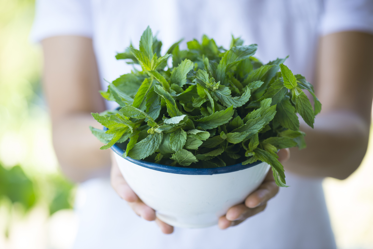 The Amazing Benefits of Mint - thenutritionwatchdog.com